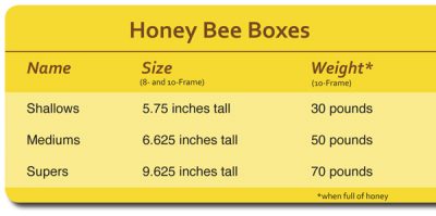 Preparing for The Queen Honey Bee - Backyard Beekeeping